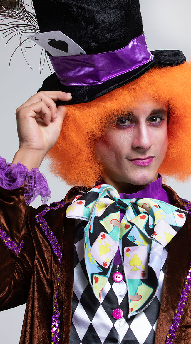 Men's Hatter Madness Costume, men's mad hatter costume, men's hatter ...