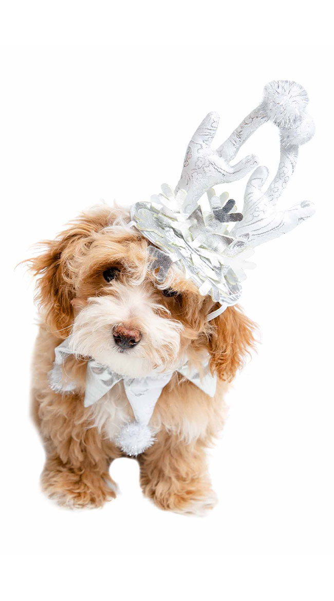 Silver Snowflake Dog Costume, Silver Snowflake Dog Antler Hat Collar ...