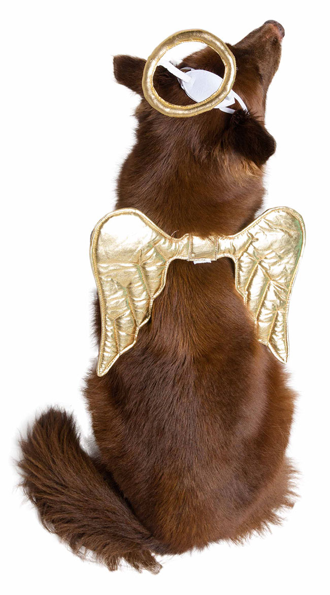 Angelic Pup Pet Costume, Angel Dog Costume - Yandy.com