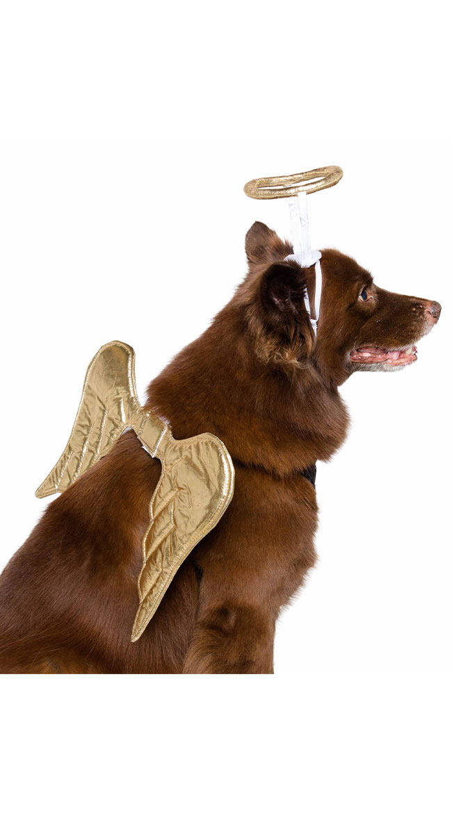 Angelic Pup Pet Costume, Angel Dog Costume - Yandy.com