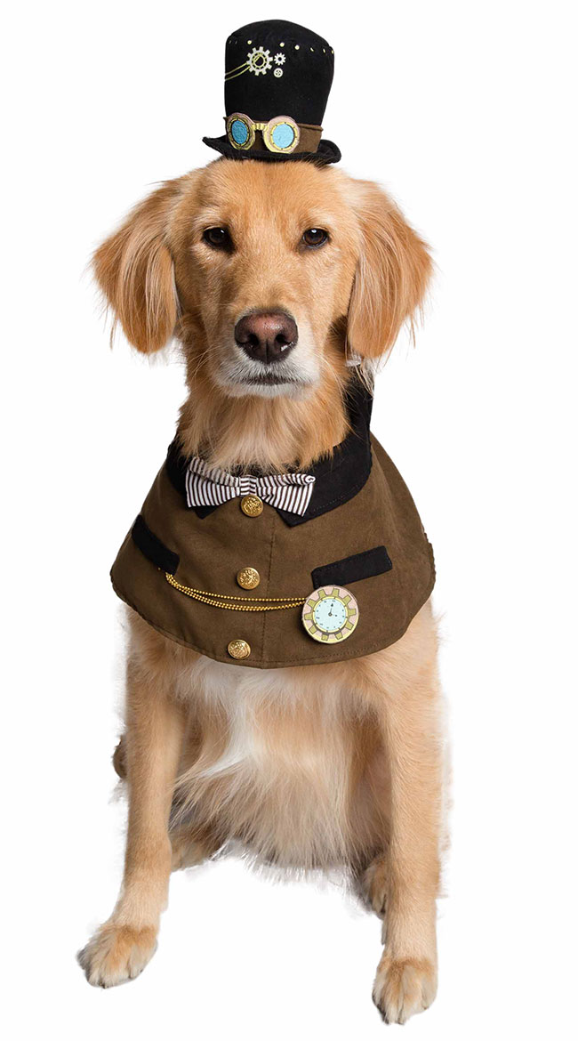 Steam Punk Pooch Pet Costume, Steam Punk Costume - Yandy.com