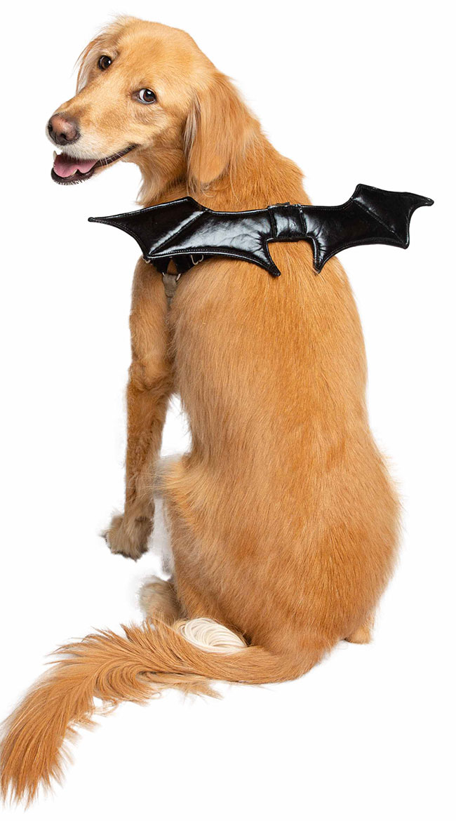 Bat Boy Dog Costume, Black Bat Dog Costume - Yandy.com