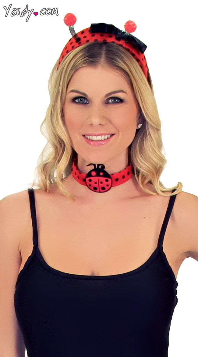 Ladybug Kit, Ladybug Antennae, Ladybug Choker, Laybug Accessories