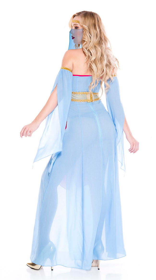 Harem Princess Costume Sexy Arabian Costume