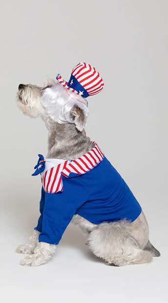 Uncle Sam Dog Costume, Patriotic Uncle Sam Pet Costume - Yandy.com