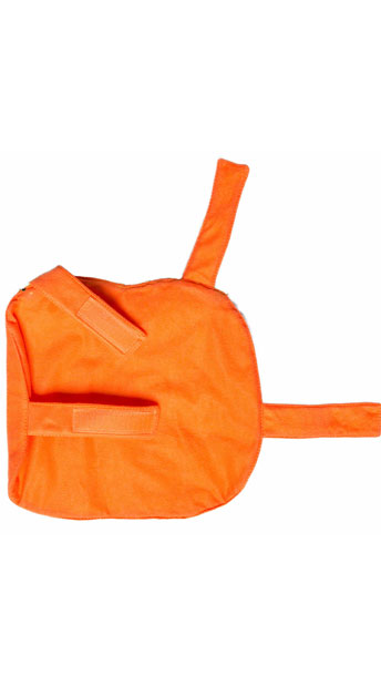 Pumpkin Pet Harness Costume, Pumpkin Dog Cat Costume - Yandy.com