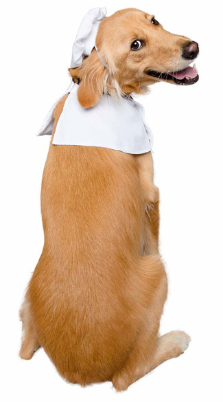 Bone-Appetit Pet Costume, Chef Dog Costume - Yandy.com