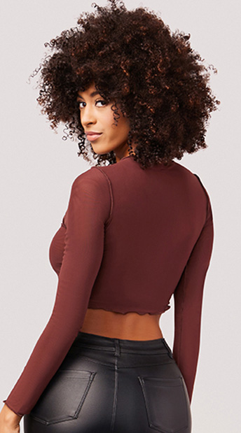 Daring Mesh Crop Top Long Sleeve Mesh Crop Top